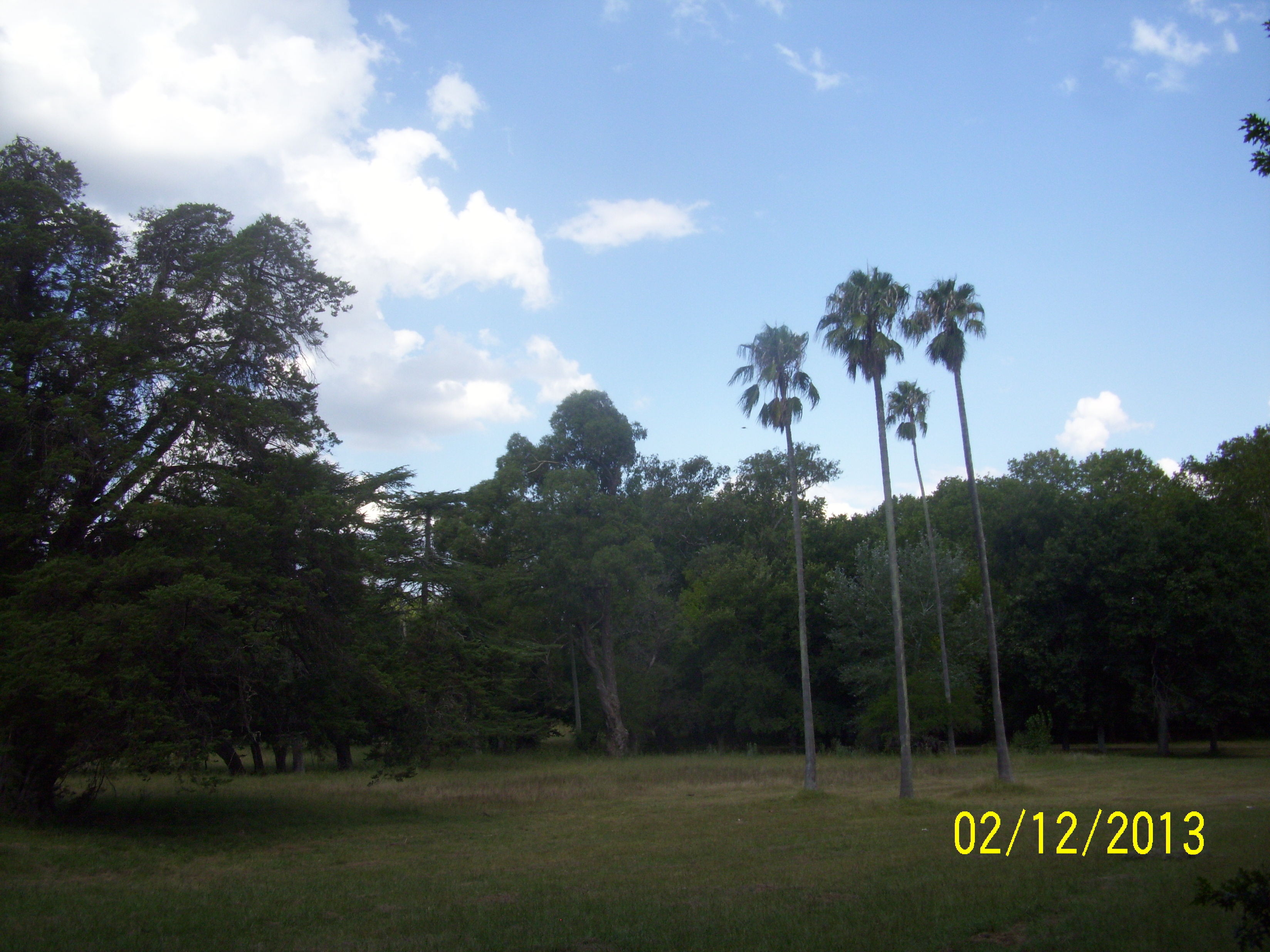 Parque Pereyra Iraola | área verde