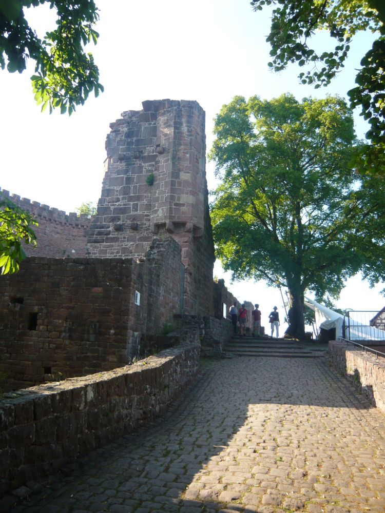 Dilsberg Castle ( Dilsberg fortress) - Dilsberg (Neckargemünd)
