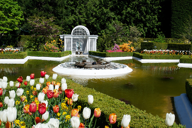 Star Pond - Brentwood Bay