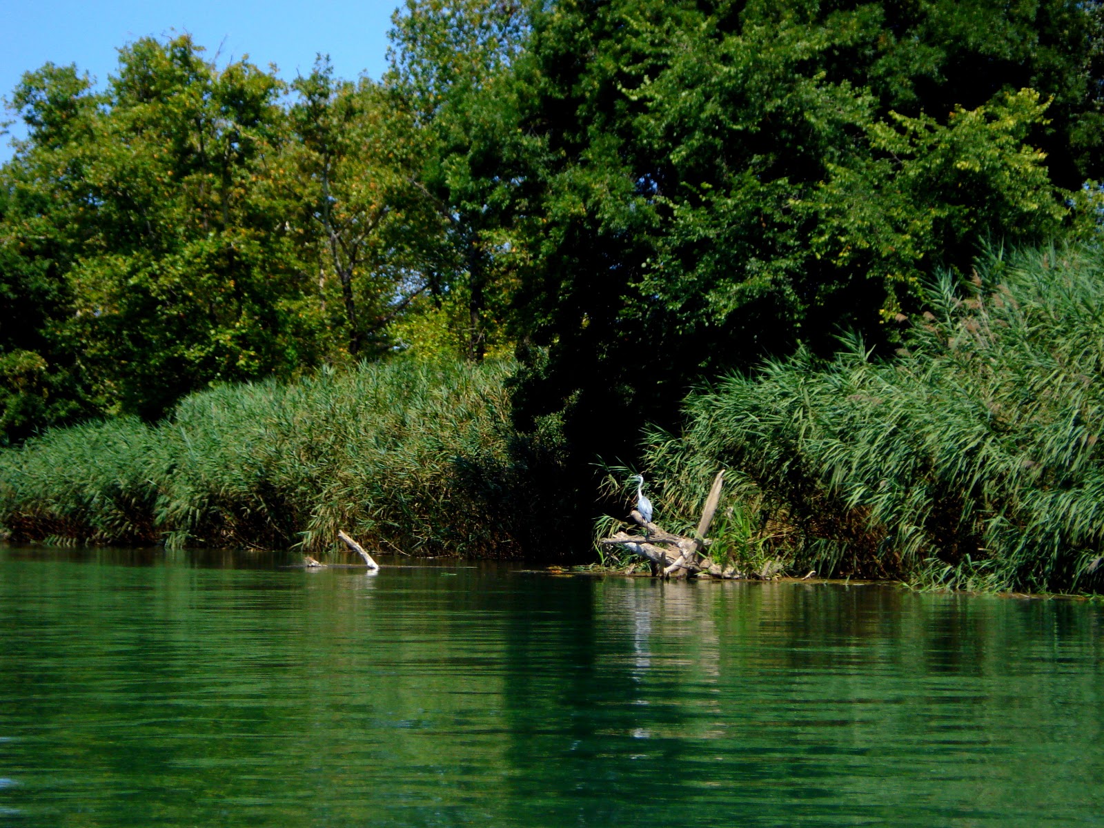 Pinios River Main Delta
