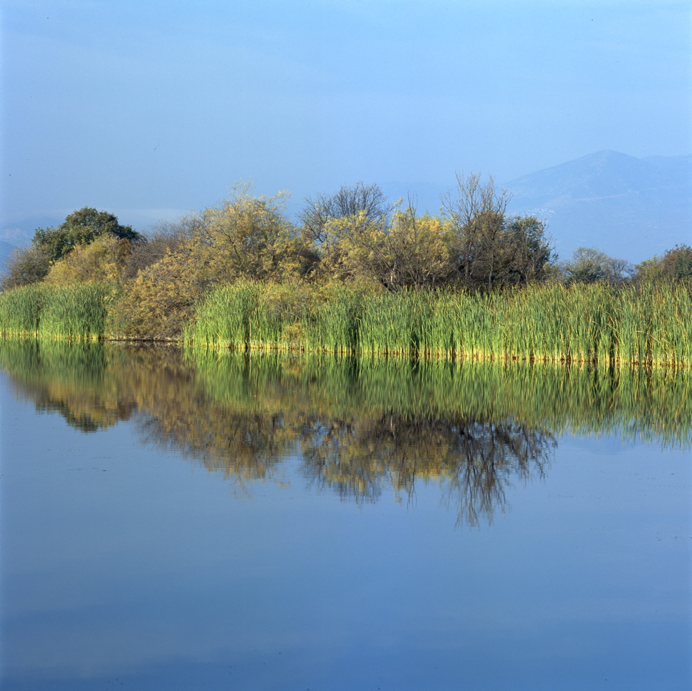 Pinios River Main Delta