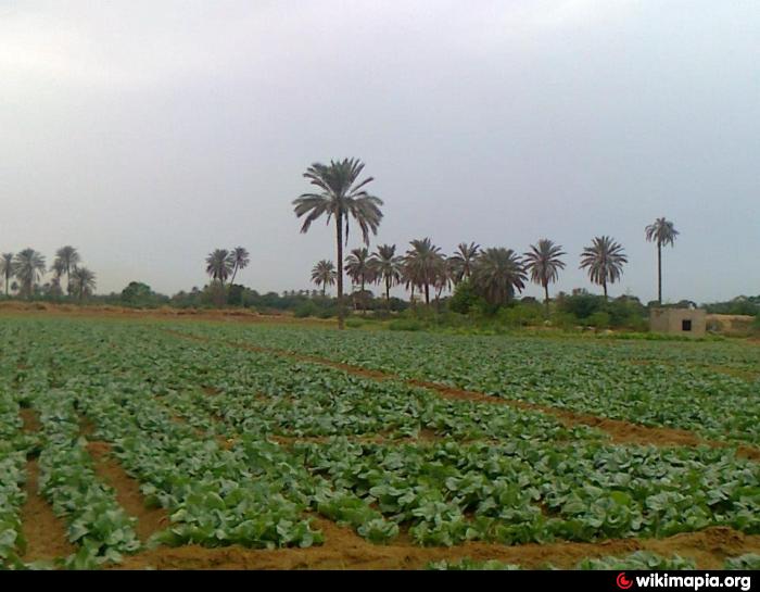 Old Thana Malir 15