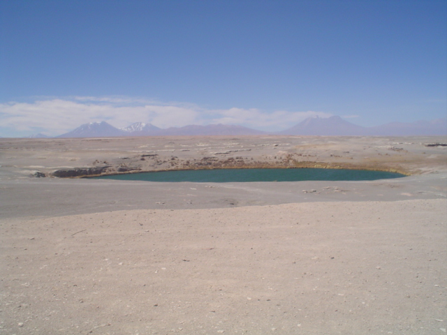 Laguna INCA COYA (ou de Chiu-Chiu)