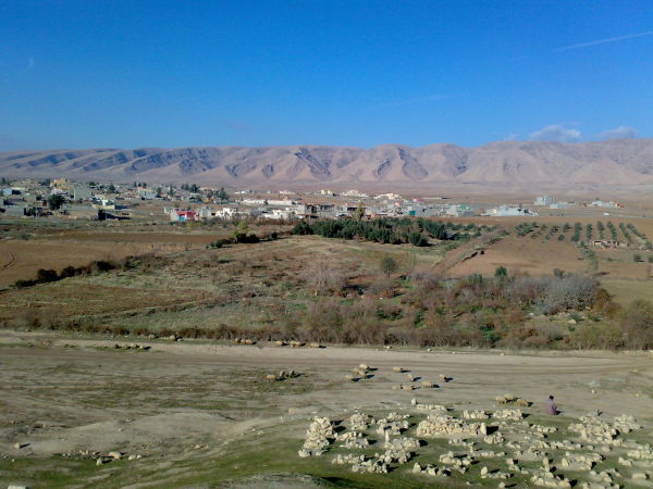Sharya
