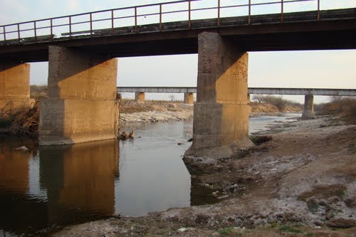 Carrizales
