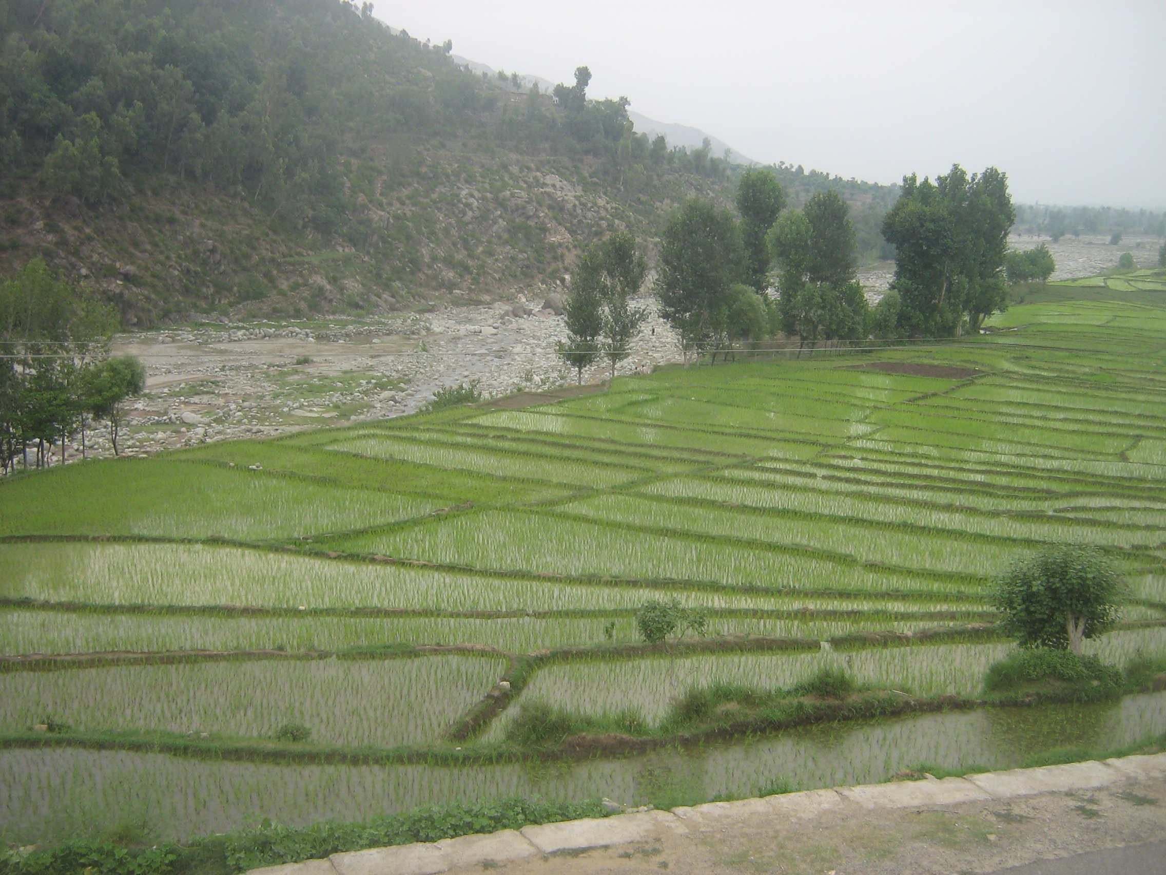 Mayar jandool Dir Lower