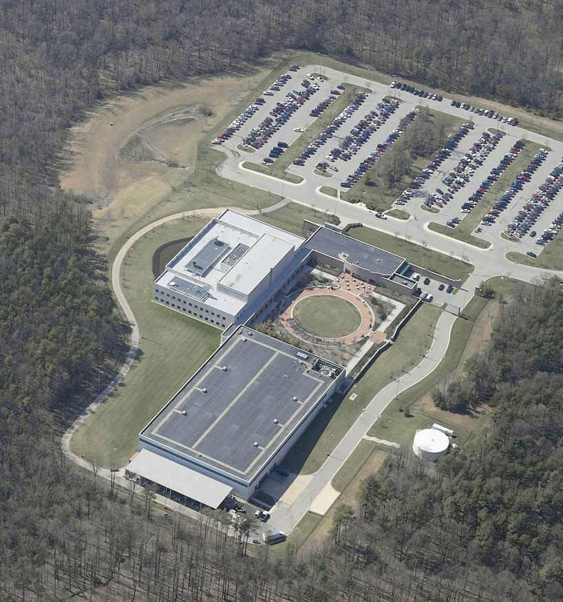 Special Collections Service