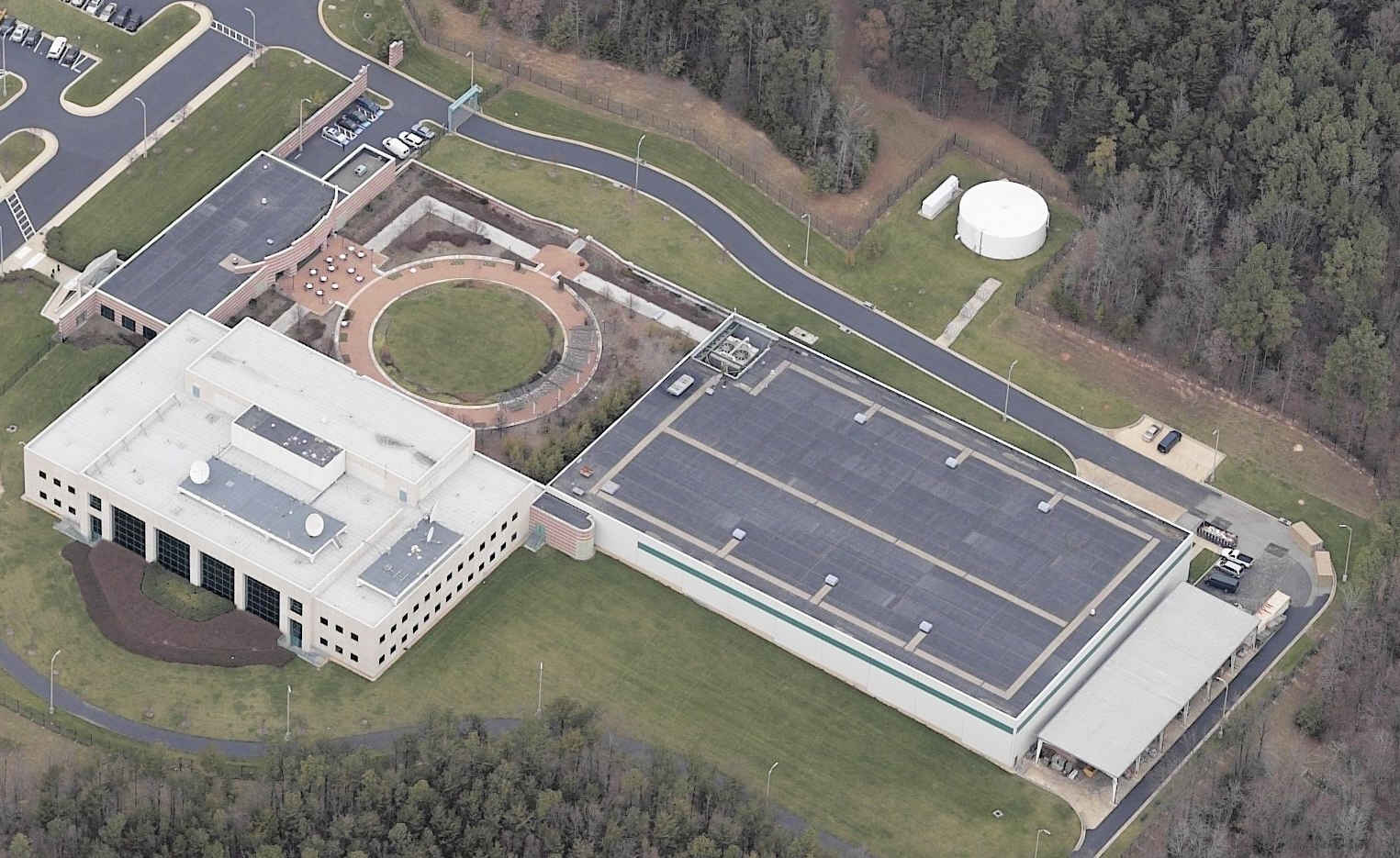 Special Collections Service