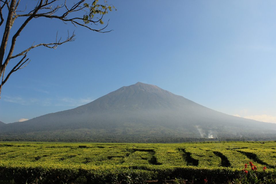 Bintaro Hill - Tangerang Selatan Jalan Merpati Raya