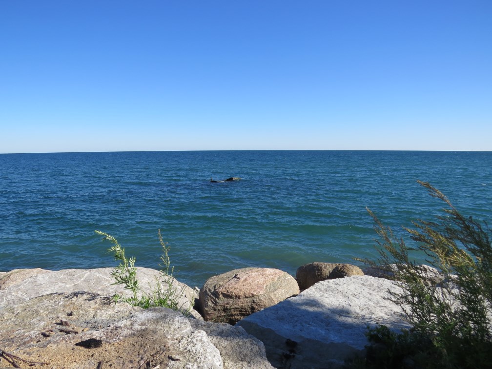 Bellamy Ravine/Doris McCarthy Trail