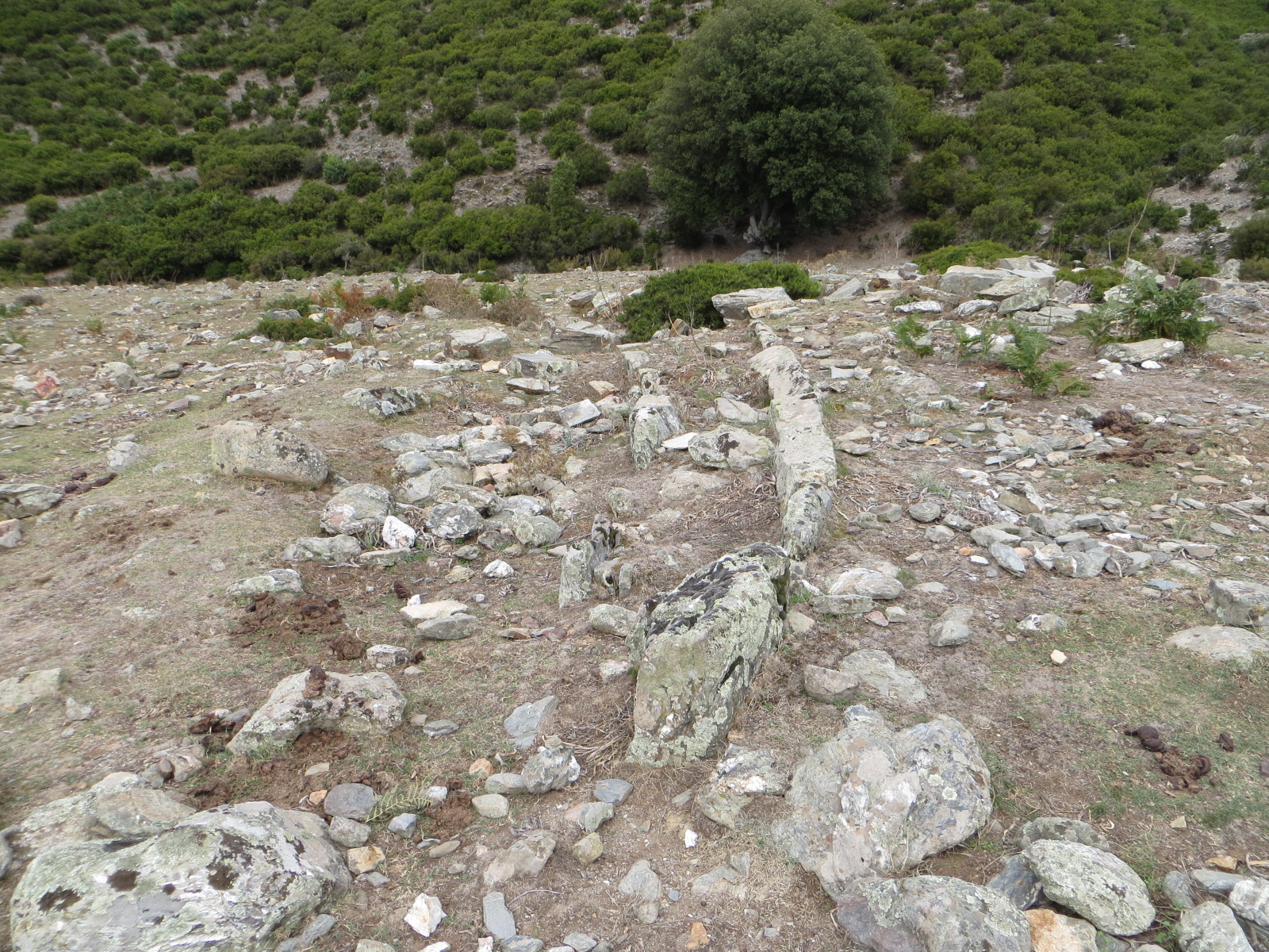 Complesso funerario "S'iscra e sa Coda"