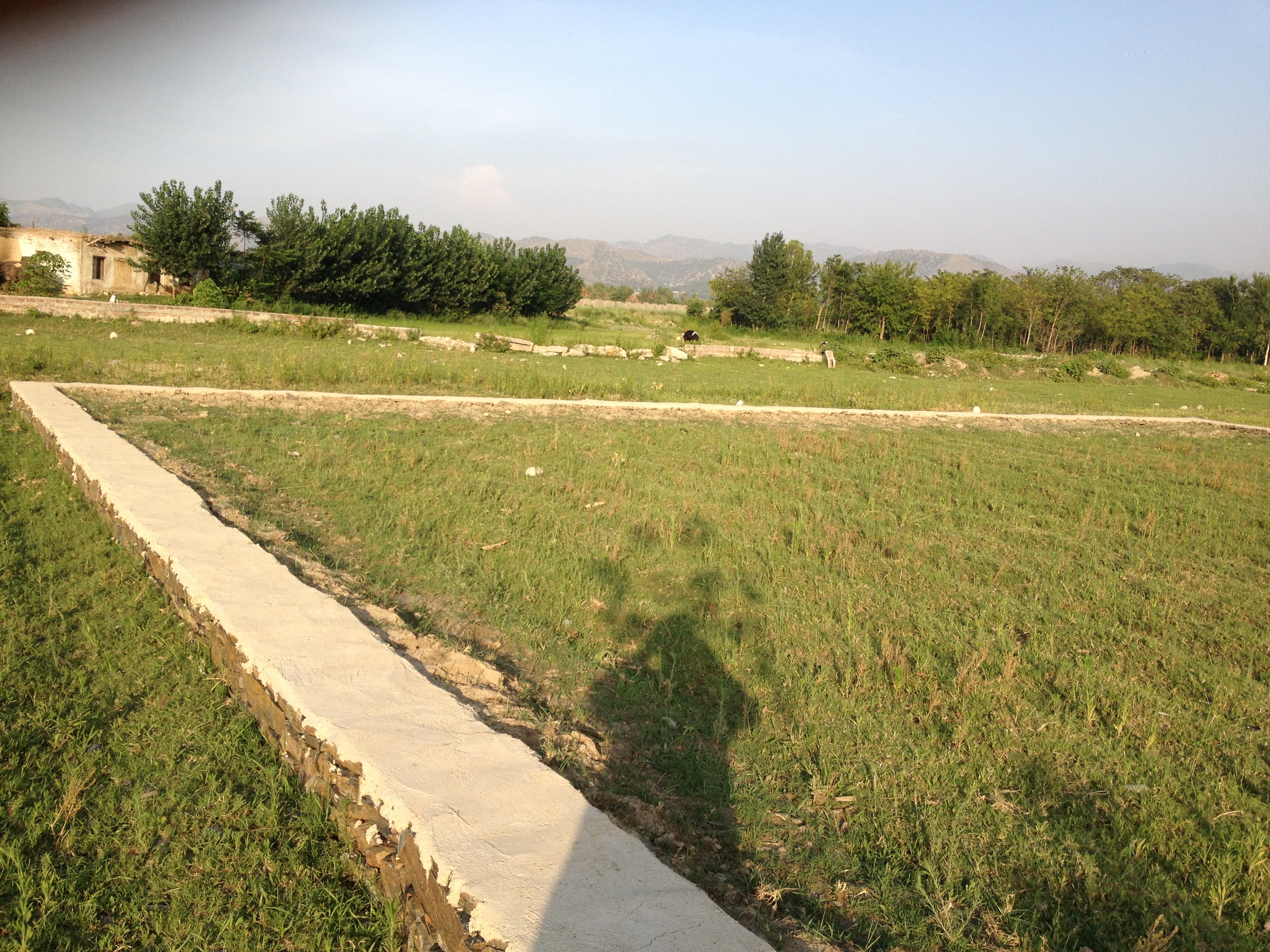 AsadRaaz