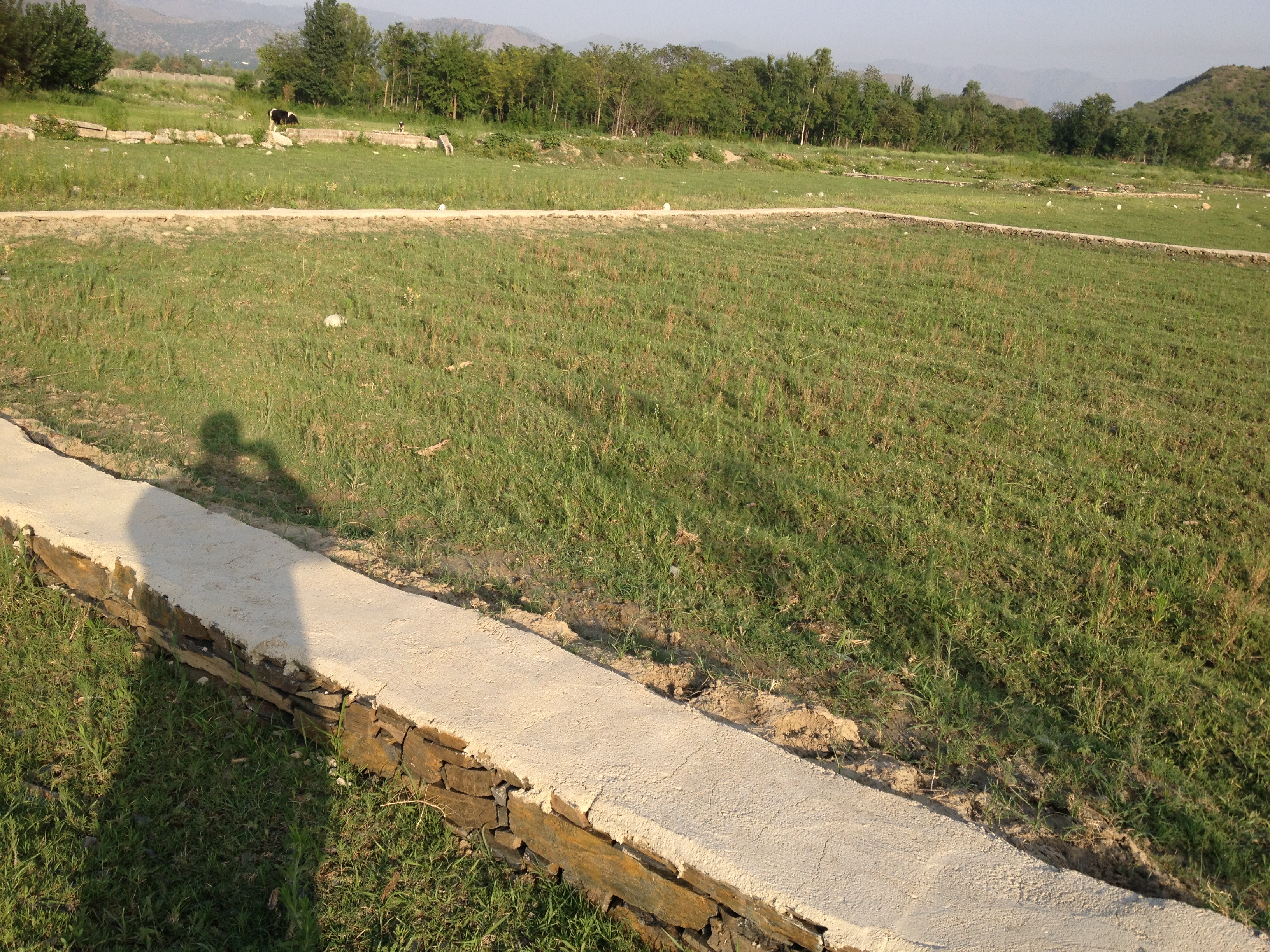 AsadRaaz