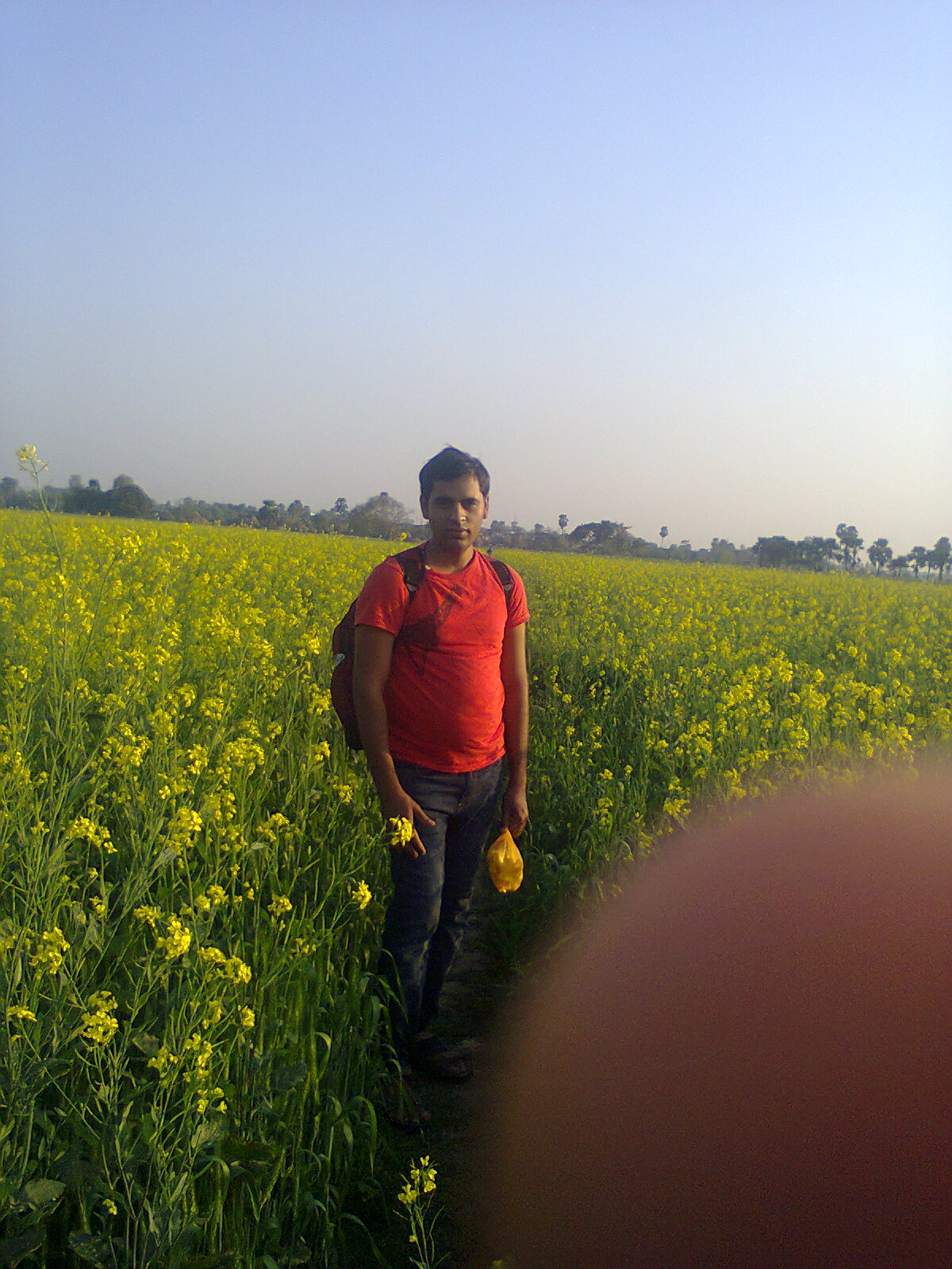 Naugarh