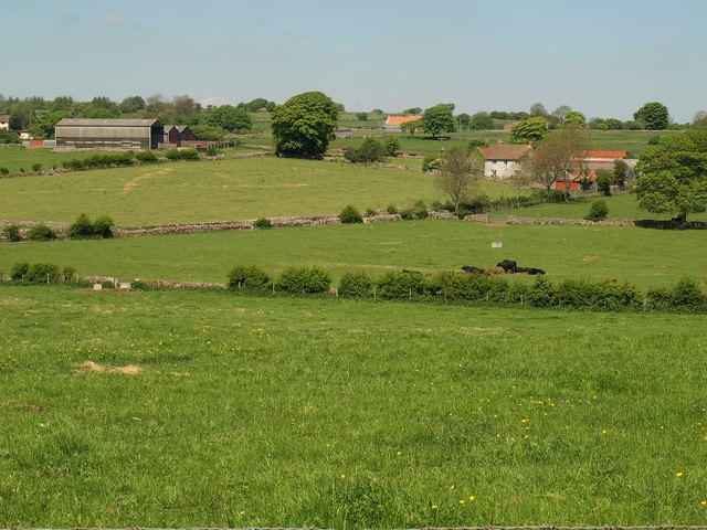 Dale Farm