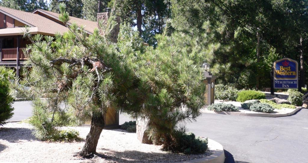 Best Western Stagecoach Inn