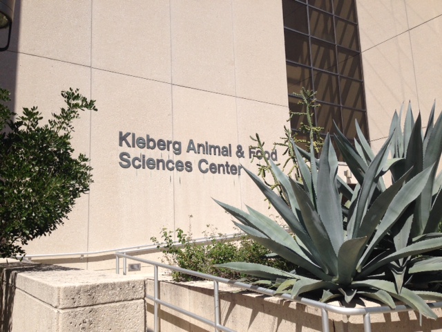 Kleberg Center - College Station, Texas