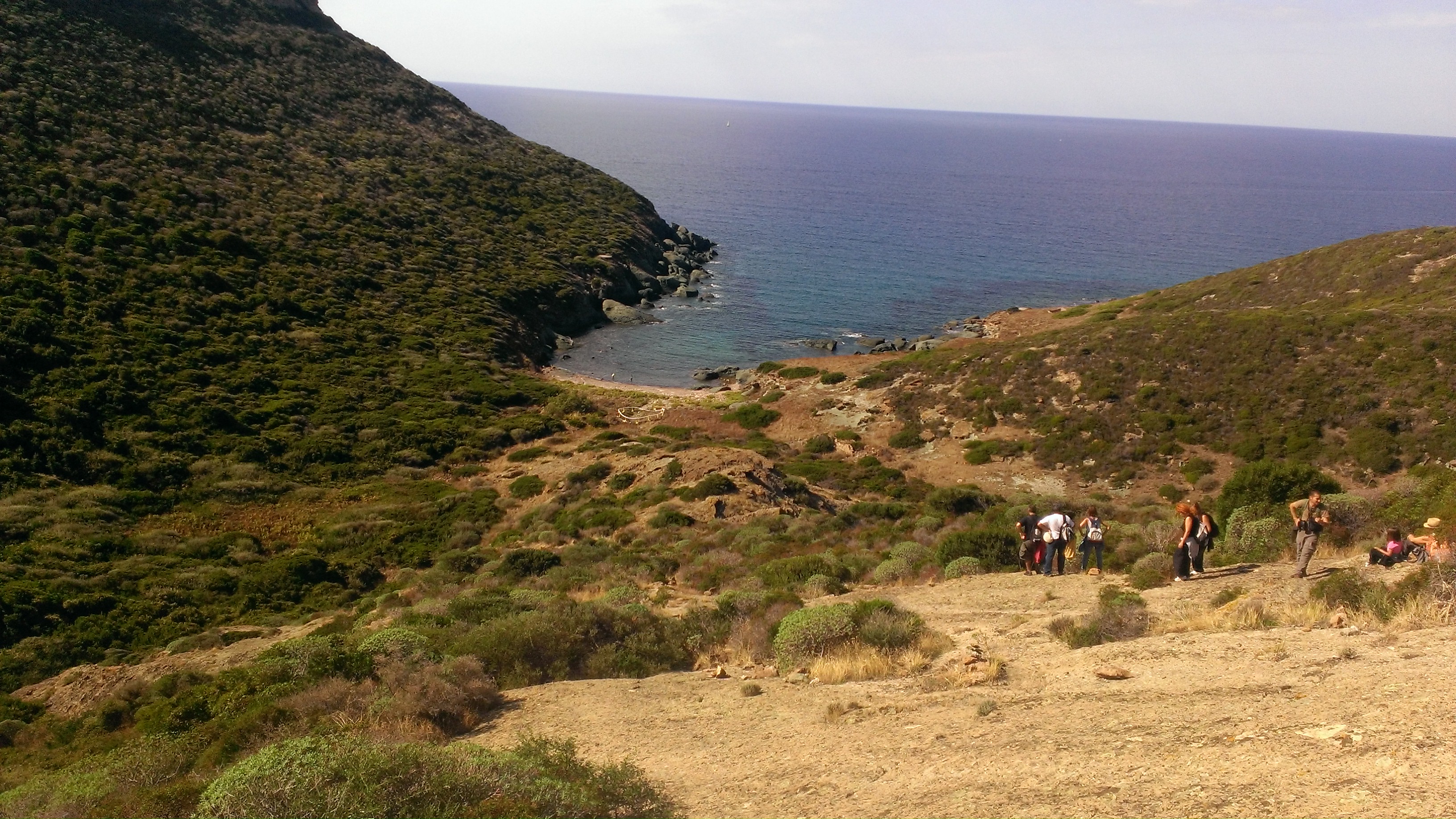 Beach of Cala Rapina