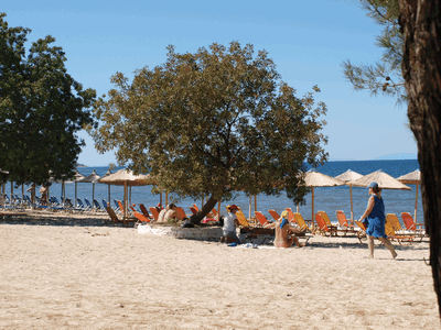 Pachis Beach
