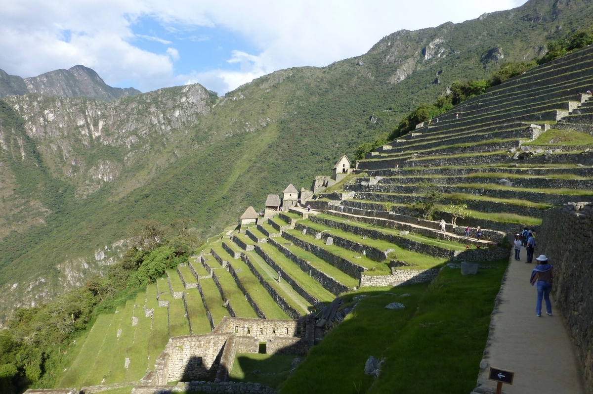 Peruvian Terrace Farming