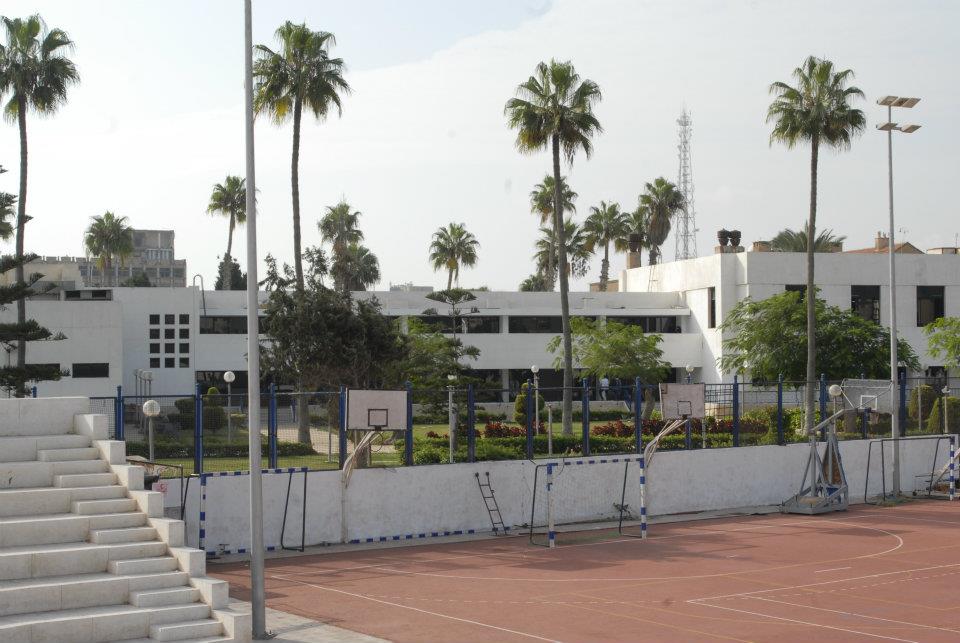 Sports Ground - Alexandria