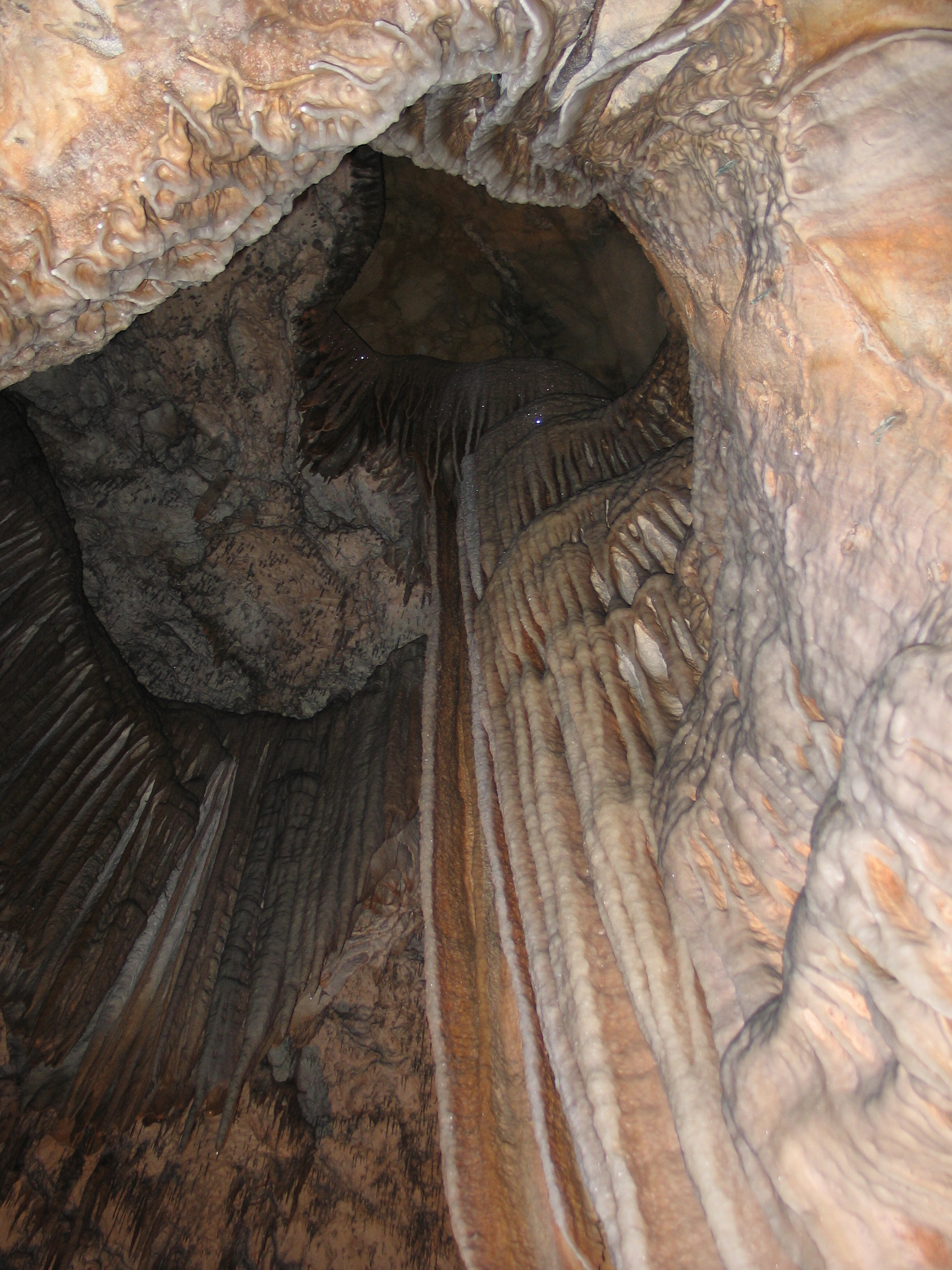 Jenolan Caves