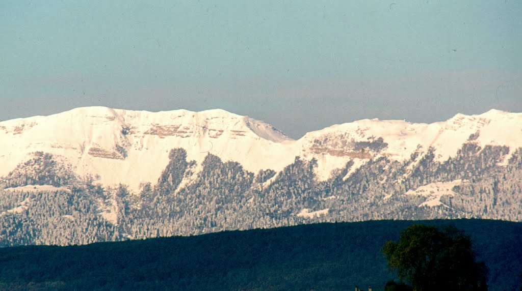 Le Chenit | municipalité / commune, Division administrative du second ...