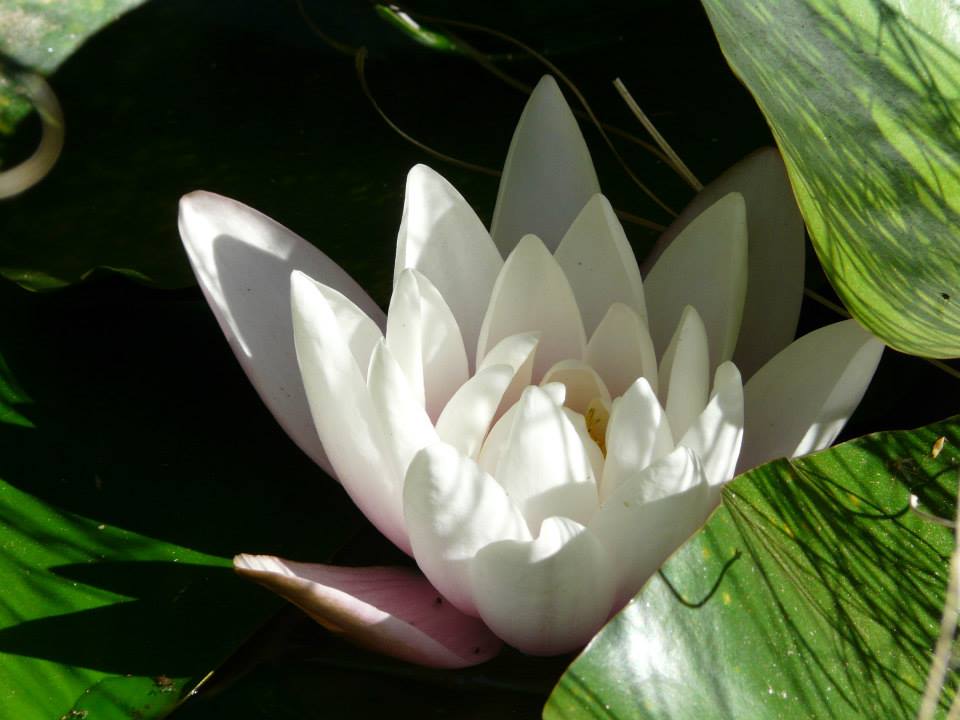 Jardim Botânico - Porto