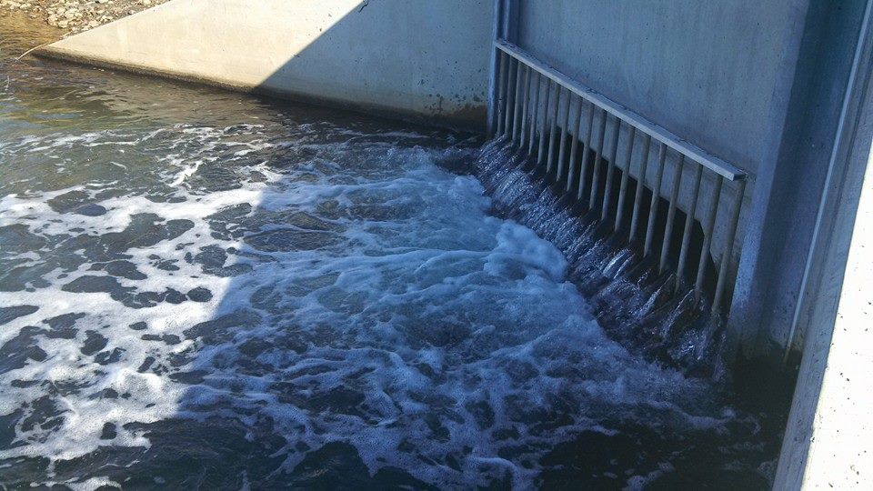 Stewarts Creek culvert - Barnstable, Massachusetts | weir, wildlife ...