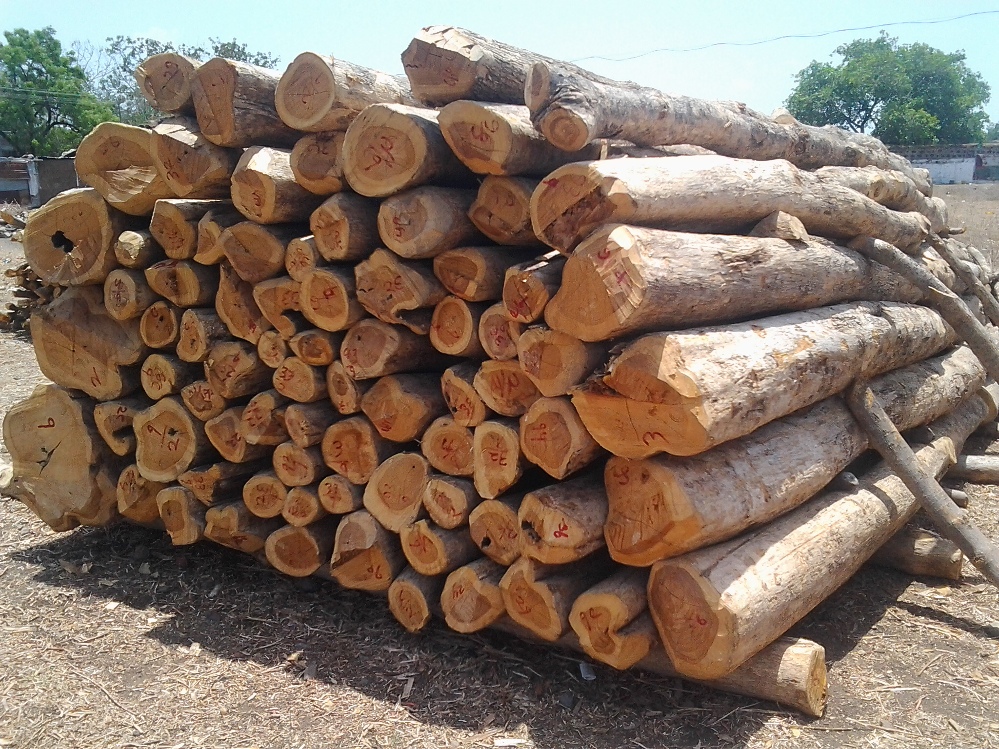 AD TIMBER MERCHANT - Deulghat