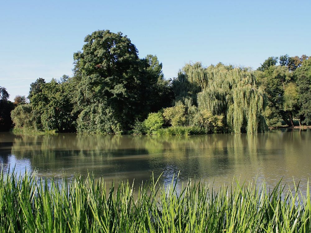 Schönbuschsee - Aschaffenburg
