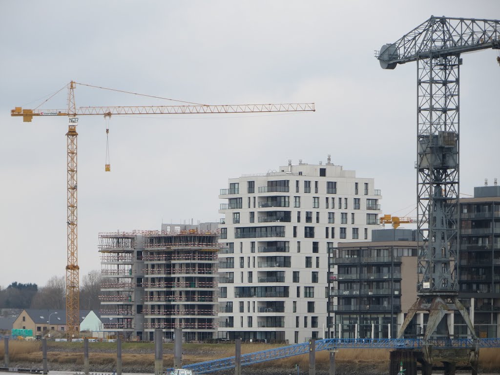 Tower crane Boelwerf