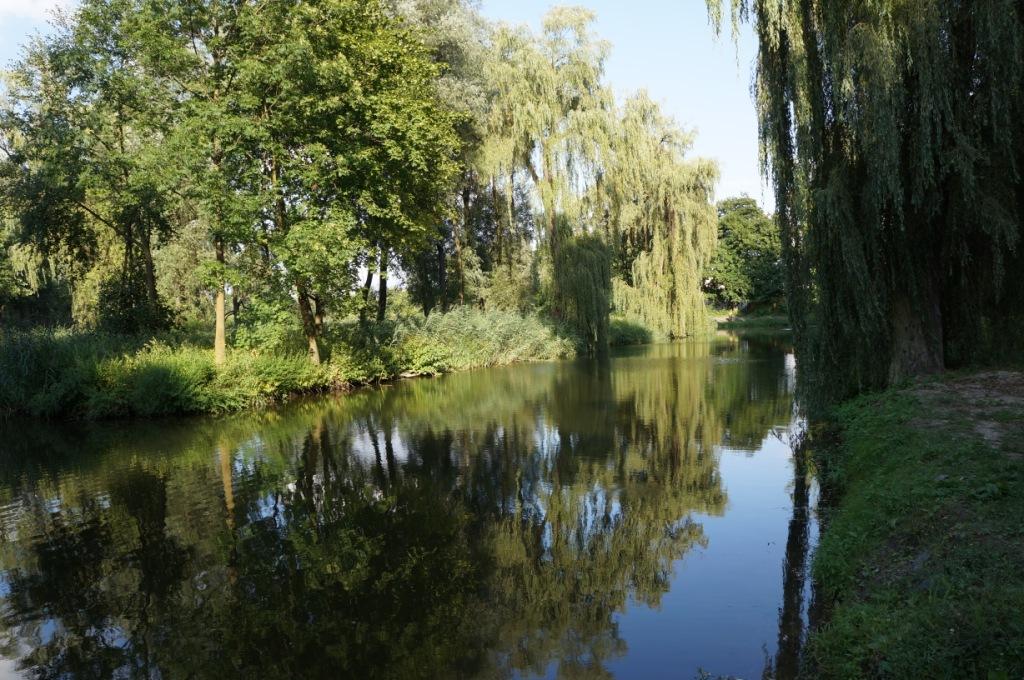 City Park in Miechow - Miechów