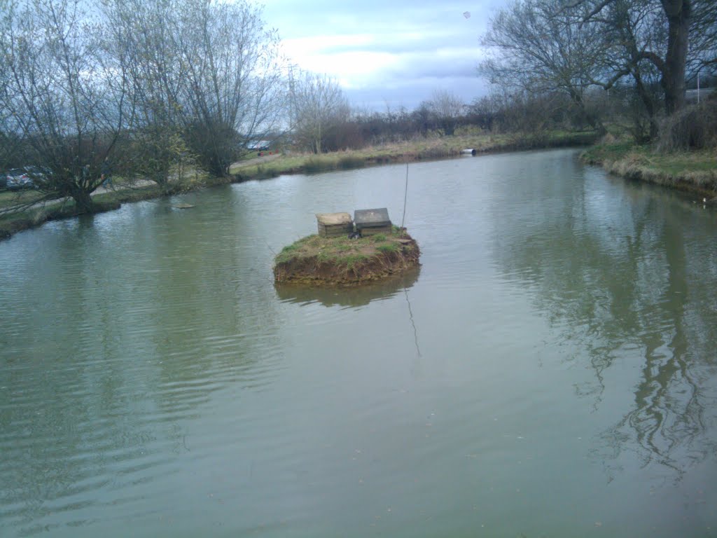 Pond