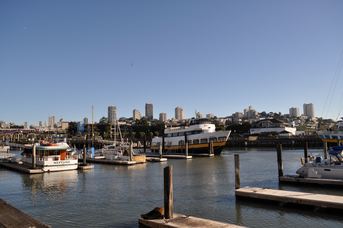 Pier 39 Marina - San Francisco