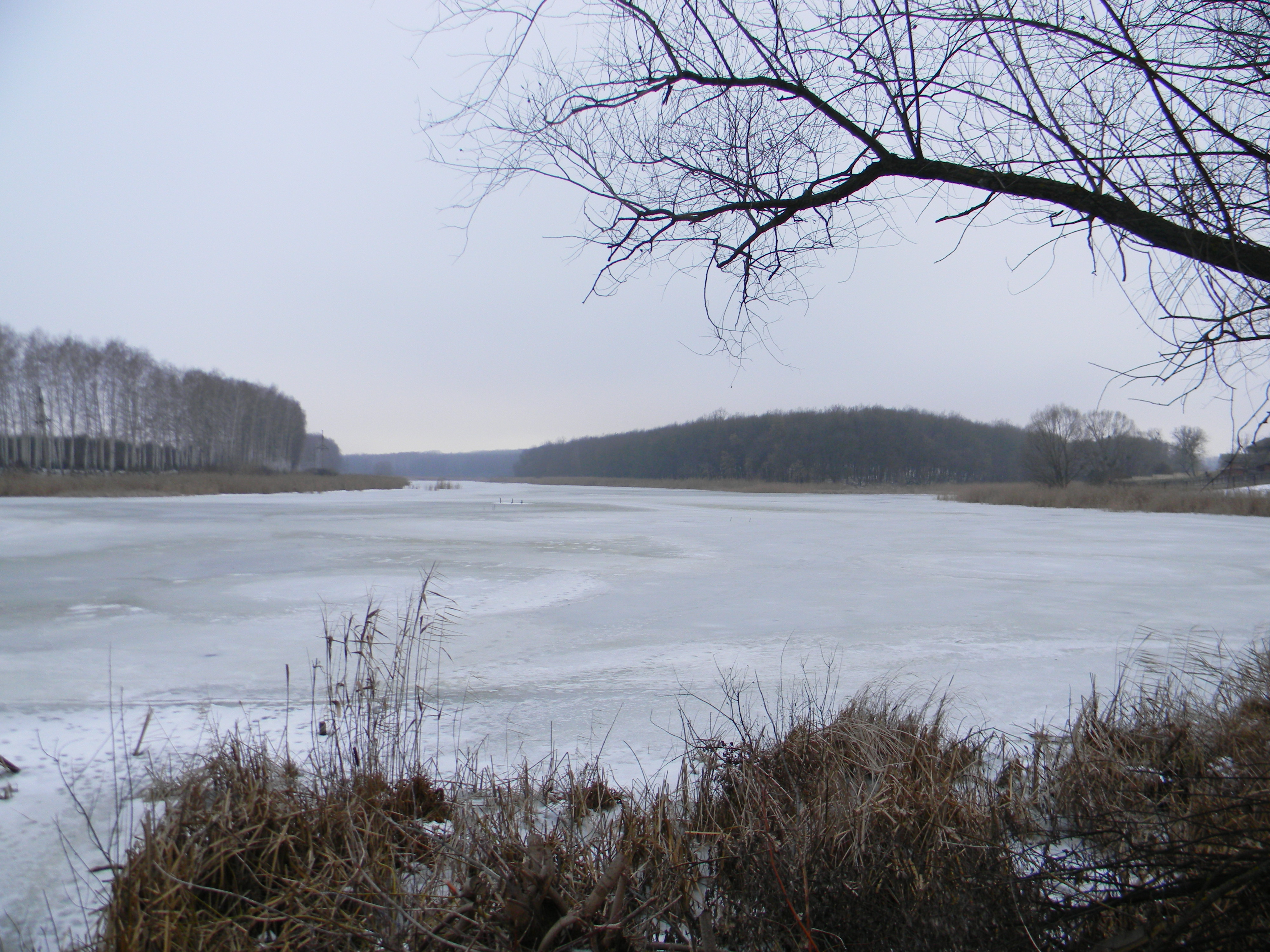 Pevnyi Pond