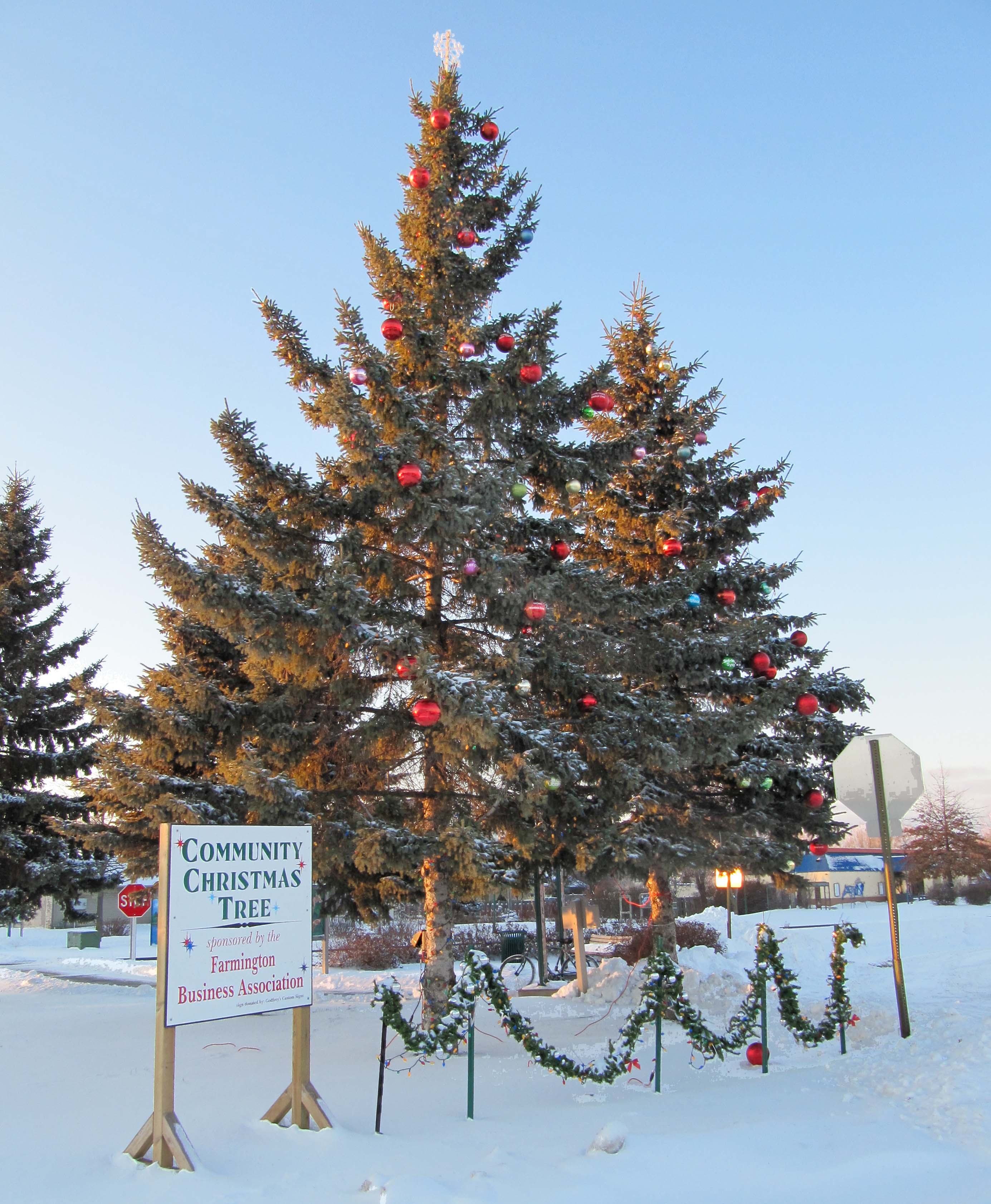 Community Christmas Trees - Farmington, Minnesota
