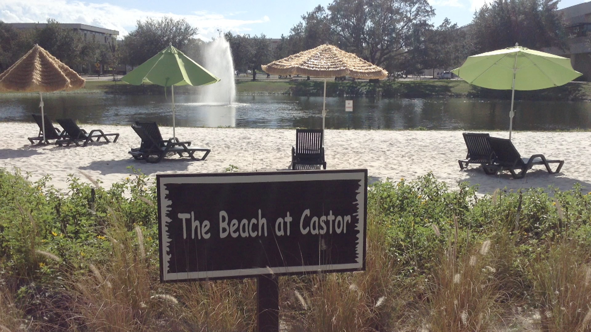 Castor Beach - Tampa, Florida