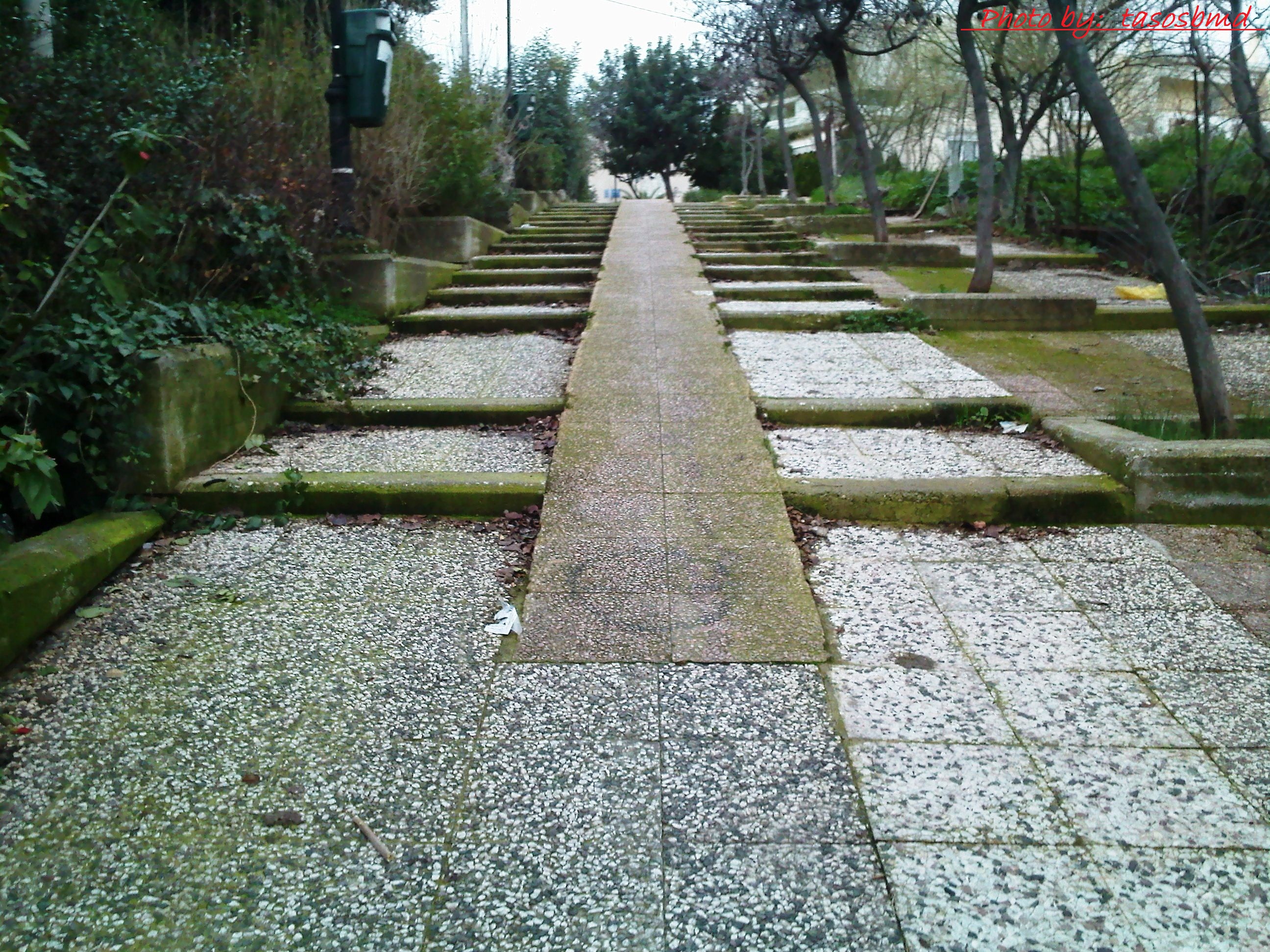 Hill of Hippios Kolonos - Athens