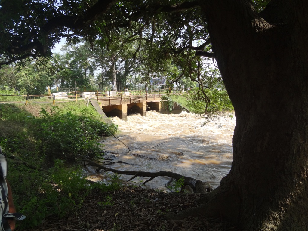 Lolla lock | lock (water navigation)