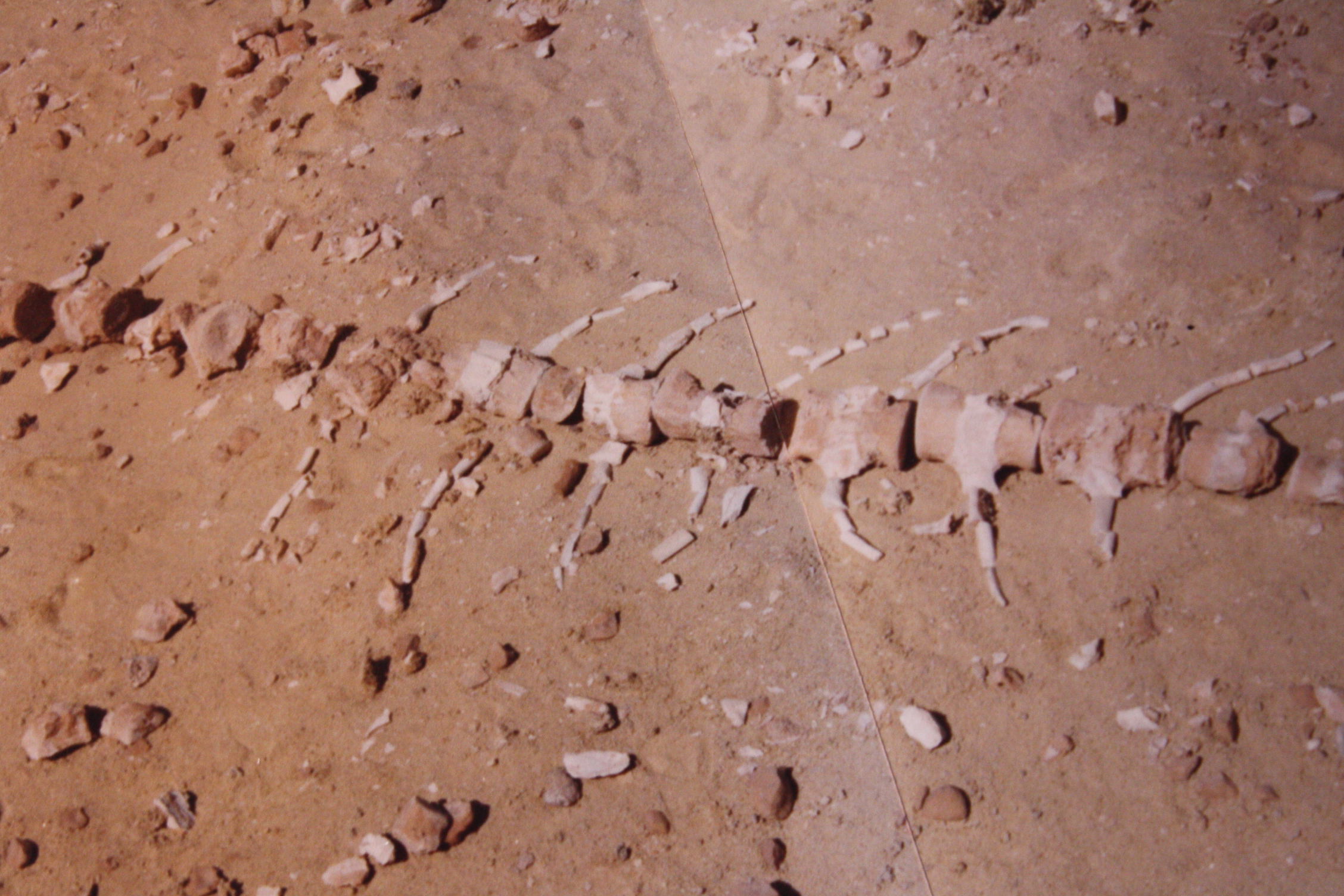 Whale Valley Core Area