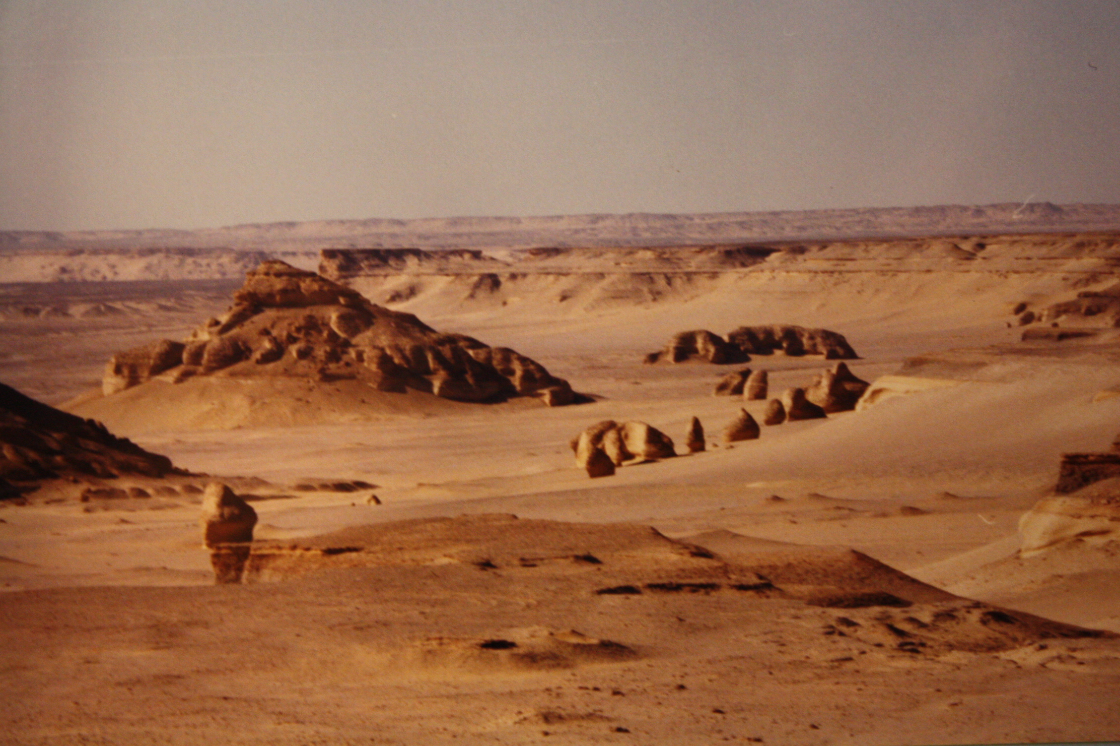 Whale Valley Core Area