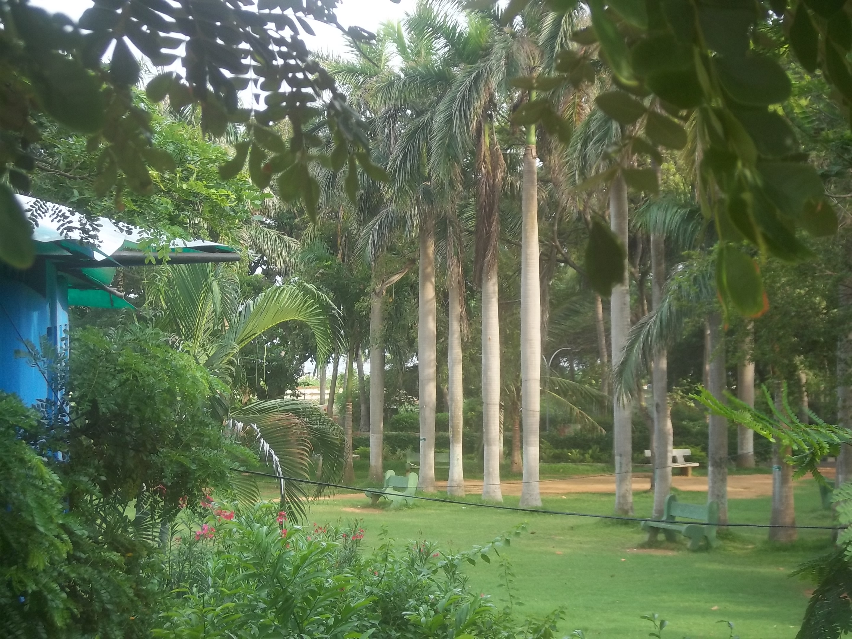 Vuda park - Visakhapatnam