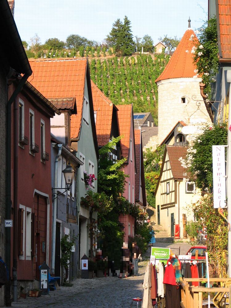 Naturwinkel - Sommerhausen