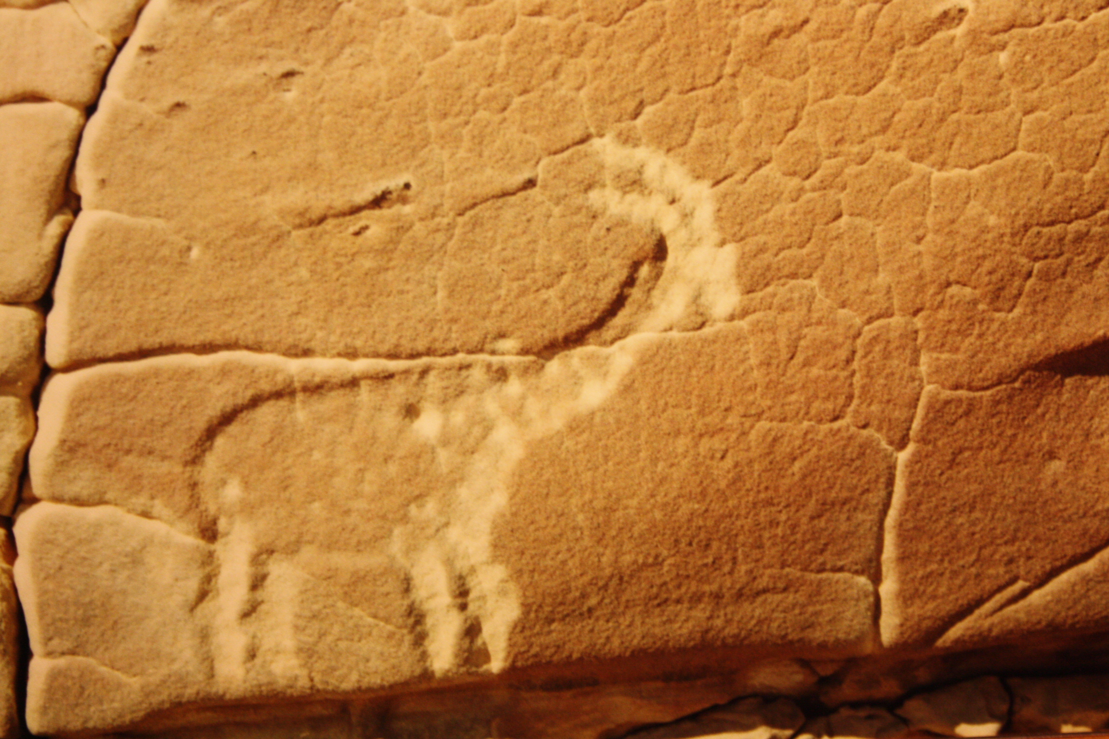 Steinzeit Felszeichnungen