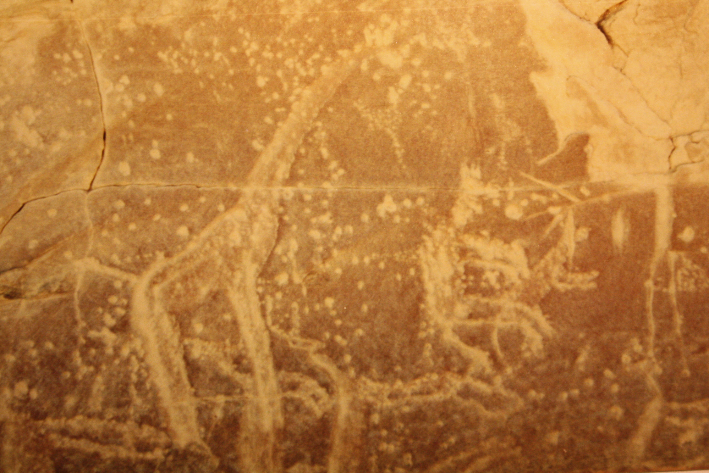 Stoneage Petroglyphs