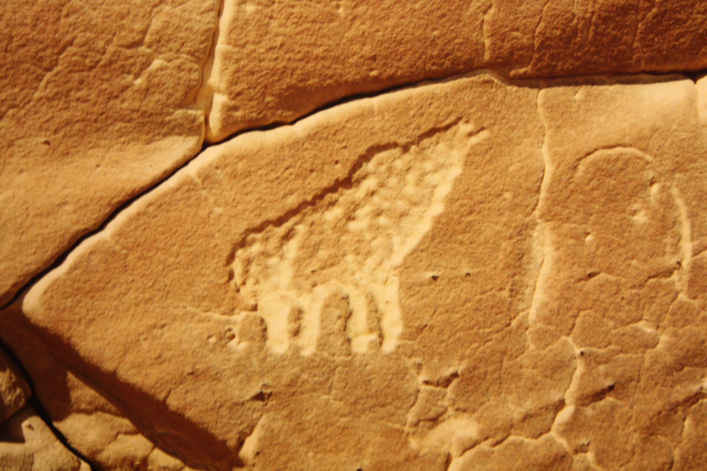 Stoneage Petroglyphs