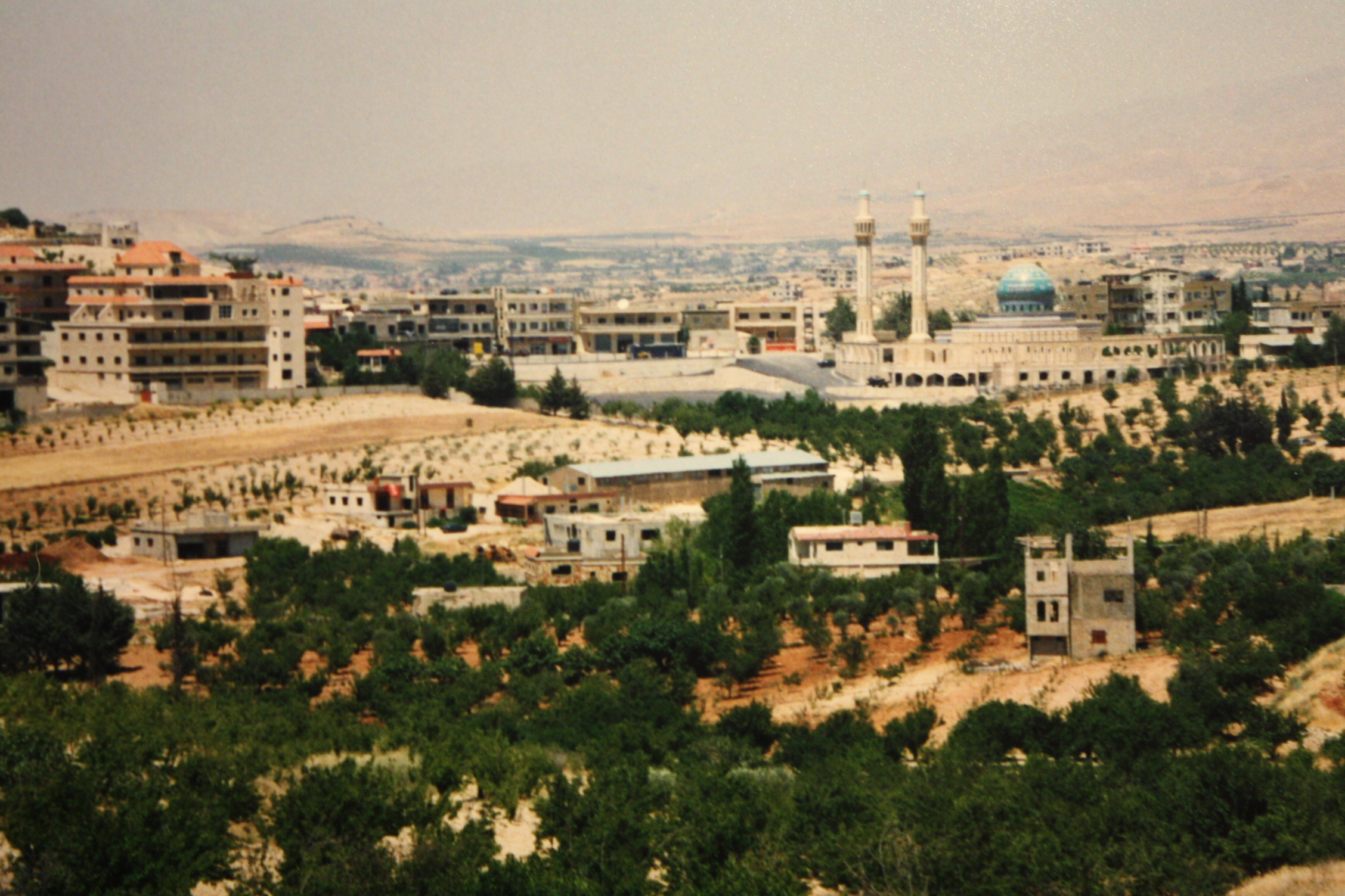 Nabi Sheet