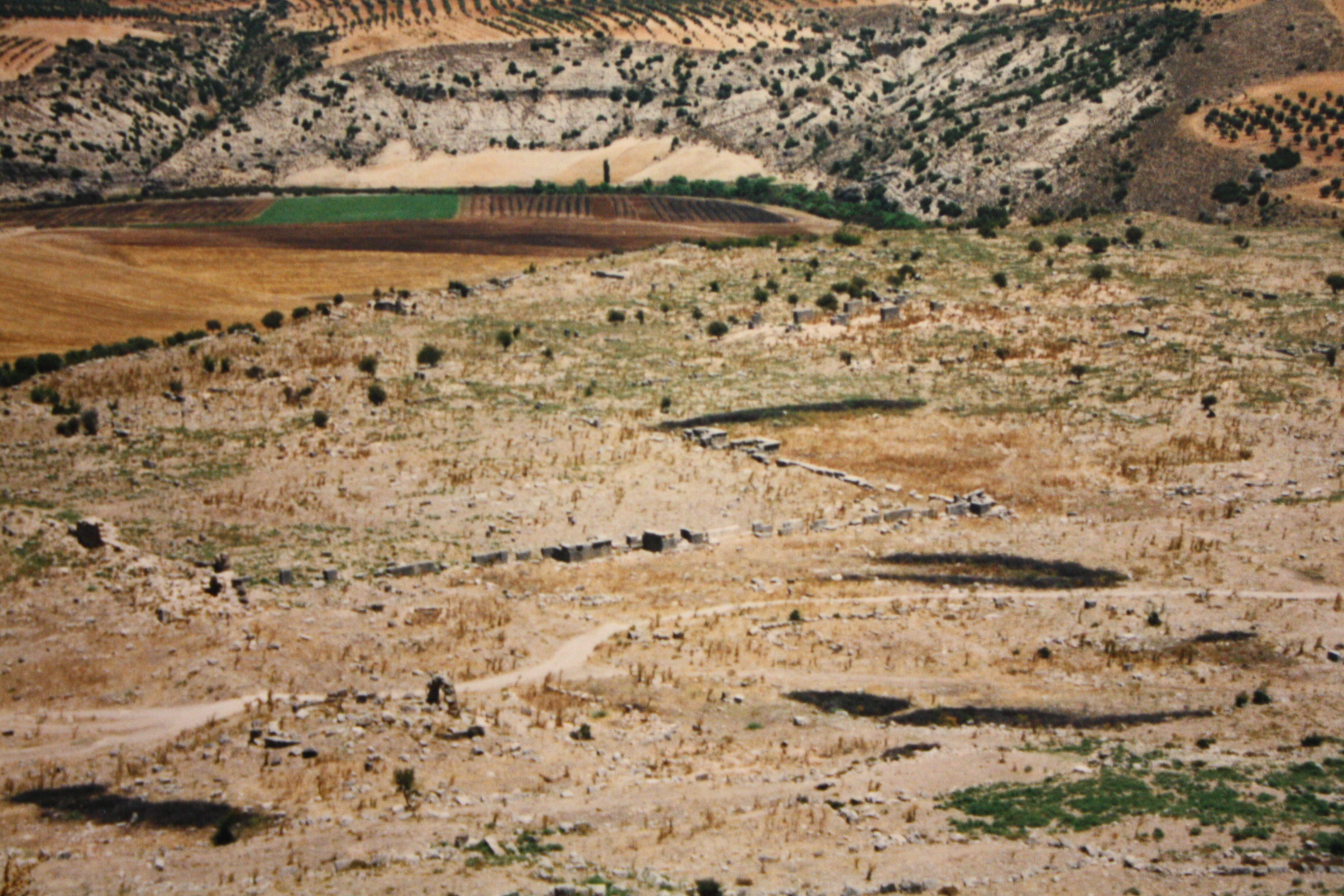 Sīrrūs/Cyrrhus/Qal‘at Nabī Hūrī