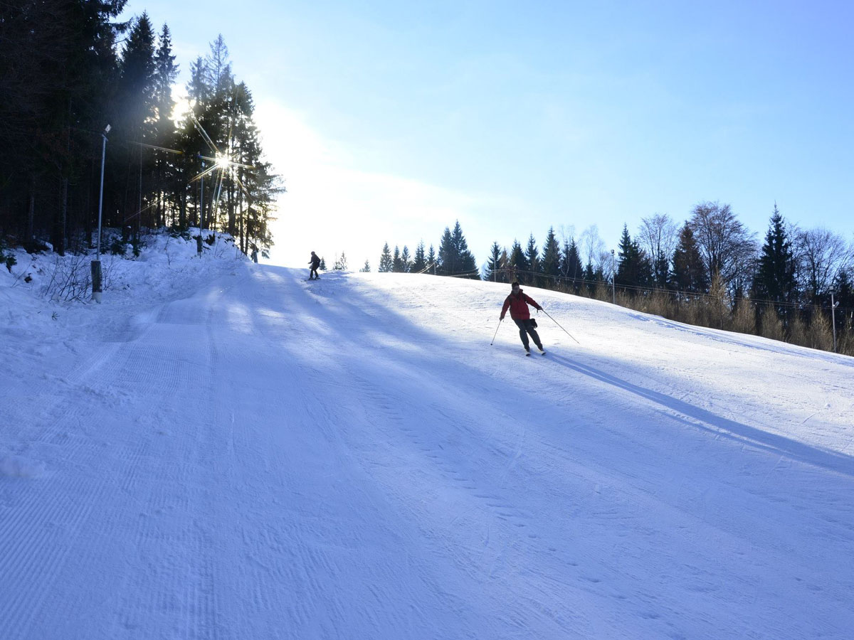 Cavnic - partia Roata 1